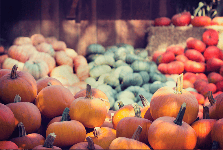 Localized Fall Content Ideas localized-fall-content-ideas